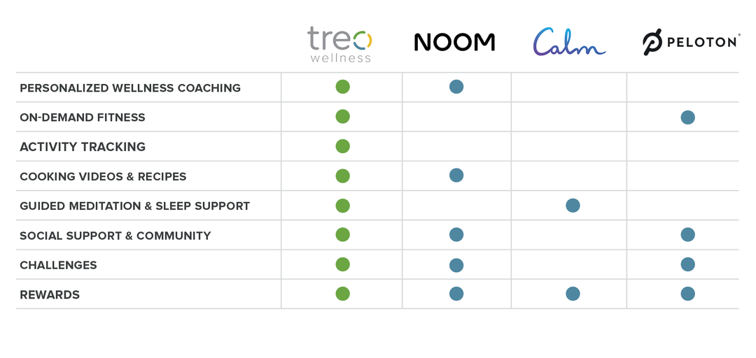 Treo Wellness – Matrix Fitness
